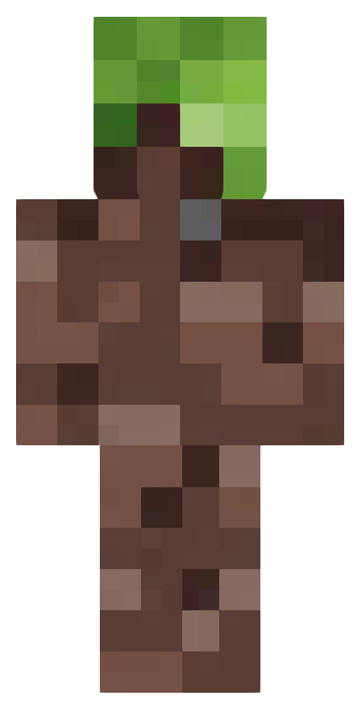 Grass Block Minecraft Skin