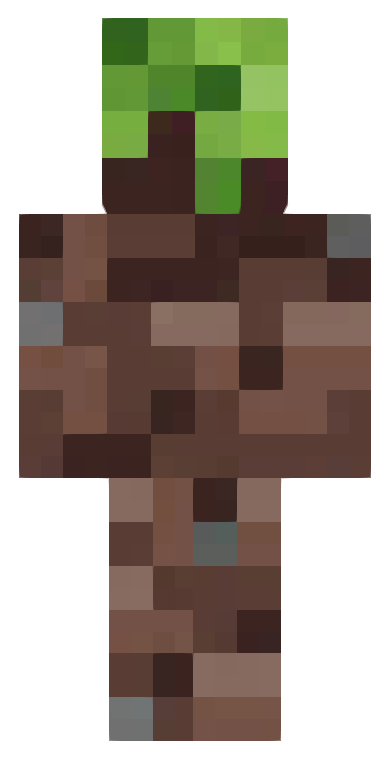 Grass Block Minecraft Skin